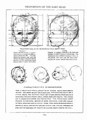 Anatomy Reference - polycount