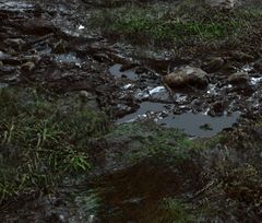 EnvironmentSculpting - polycount