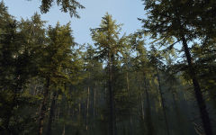 Foliage - polycount